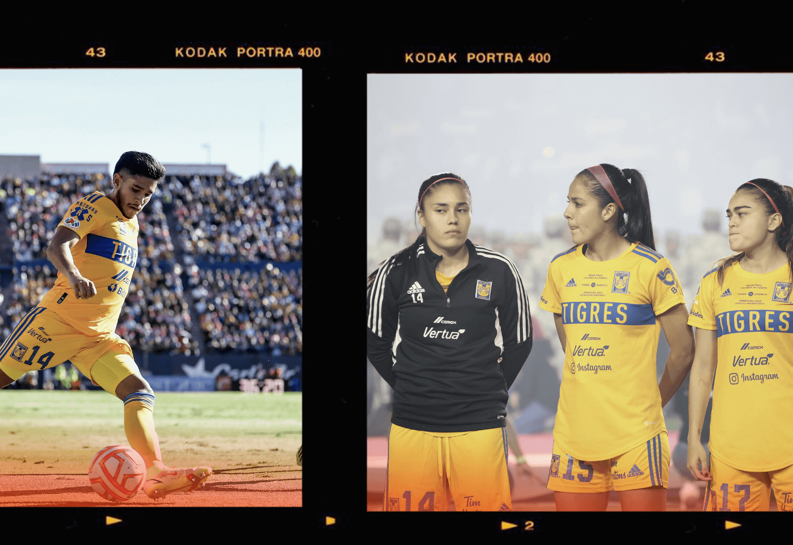 Sharing & Distributing Content | ScorePlay